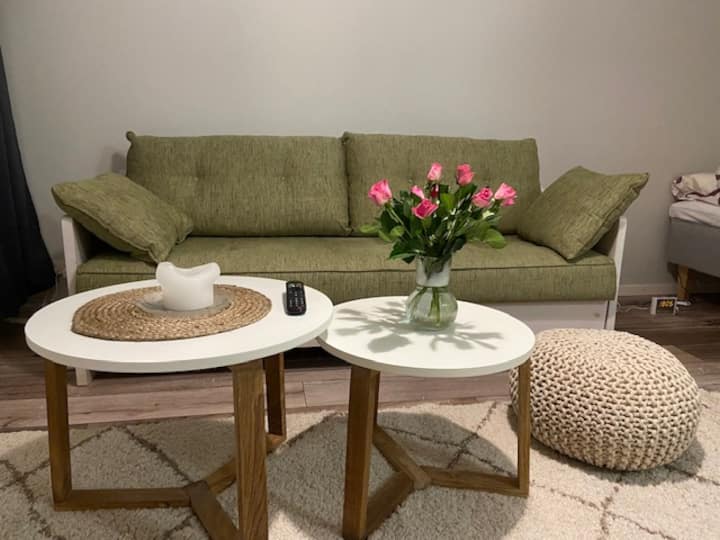 *Käytännöllinen Yksiö Rauhallisella Alueella!* - Riihimäki