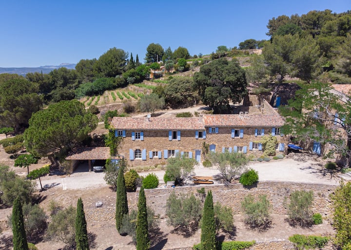Paisible, Au Milieu Des Vignes - Le Castellet