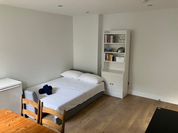 Enormous Bedroom Opposite Euston - Bloomsbury