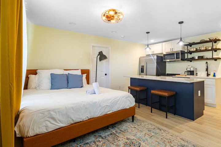 Sunny Studio Pet-friendly King Bed Modern Kitchen - St. Petersburg, FL
