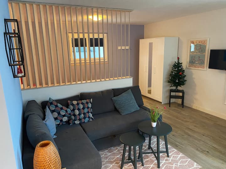 Spring Inn Studio - Innertkirchen