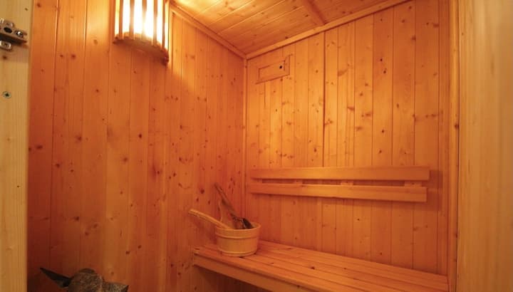 Cosy T2 Avec Sauna Privé/vue Montagne Au Mont Dore - Puy de Sancy