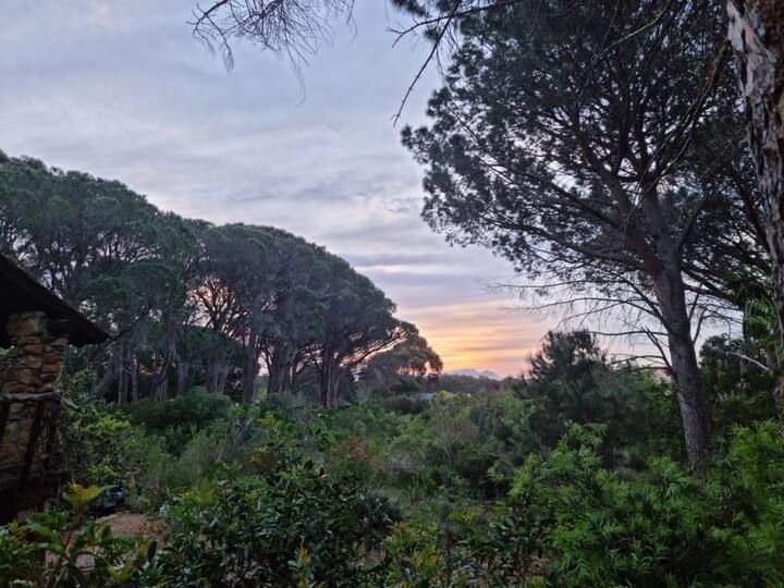 Natural Getaway - Grabouw