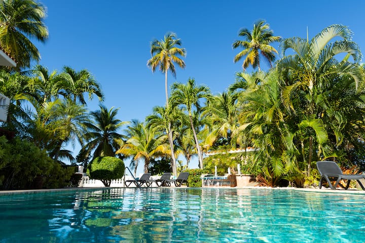 Villa Ensenada Unit 3: On Dogman's Beach W/ Pool - Aguada