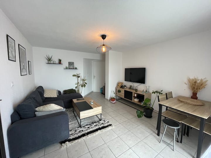 Appartement 2 Ch 50m2 Balcon + Piscine - Grabels