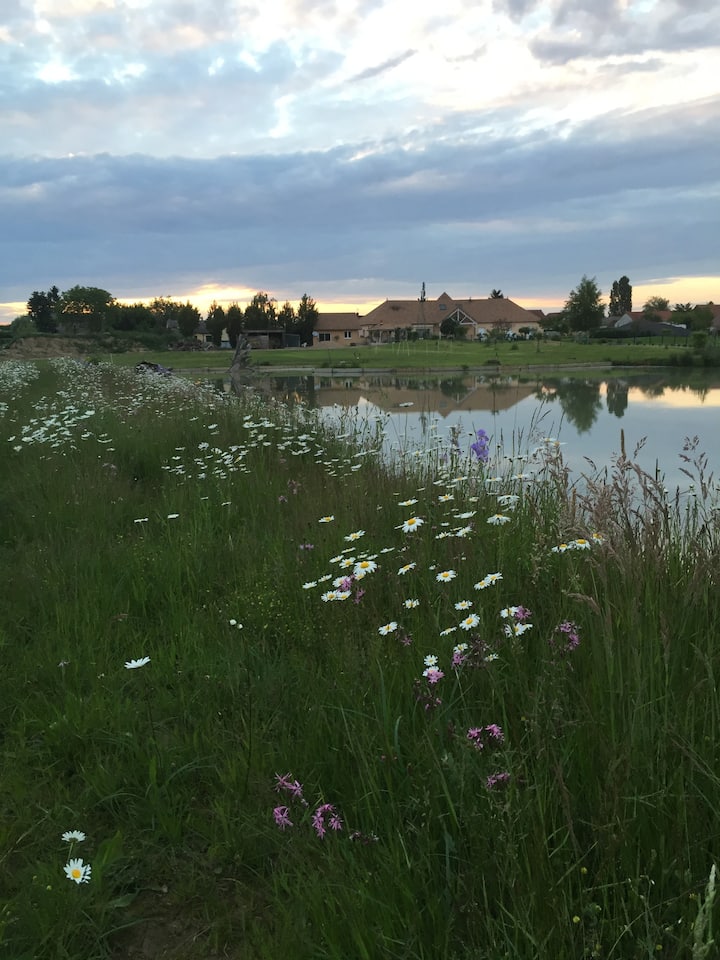 Grande Propriétée Avec éTang De Pêche Et Parc - Chalon-sur-Saône