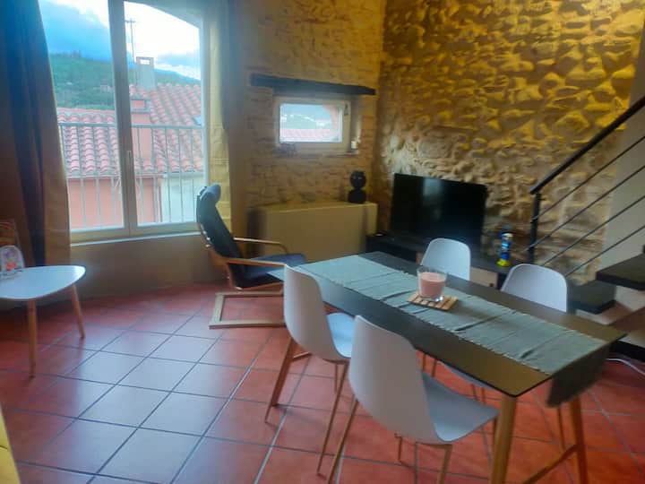 Appartement Style Loft - Céret