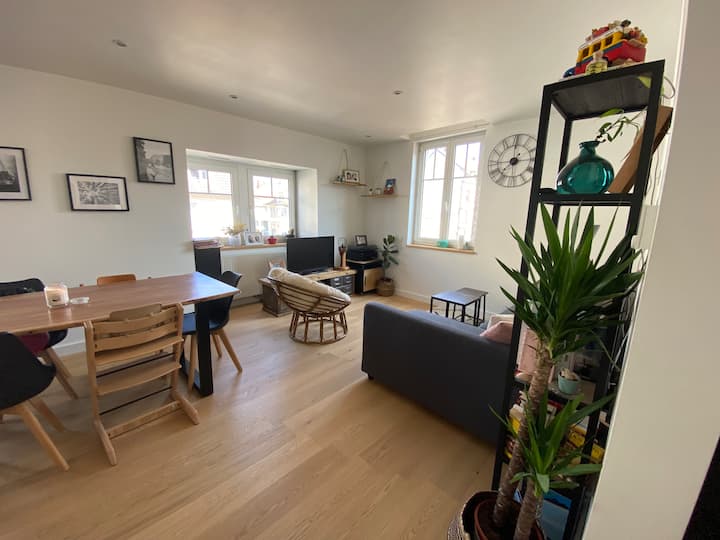Duplex à 10-15 Min De Strasbourg - Gare de Strasbourg Ville