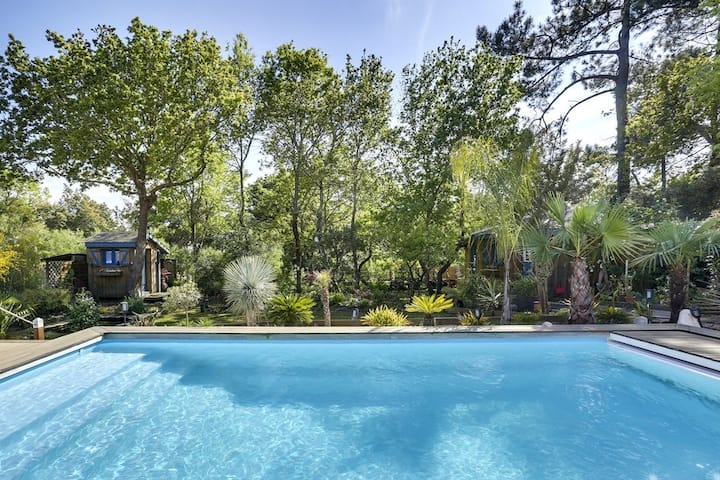 Cap Mango Paradise - Soorts-Hossegor