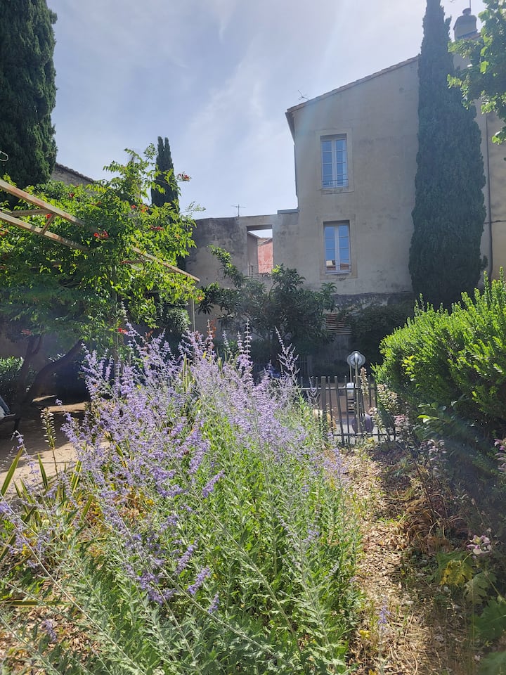 L'avignonesque Intra-muros: Duplex-rooftop 7 Pers. - Avignon