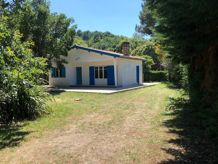 Un Chalet Sur Le Lac - Biscarrosse