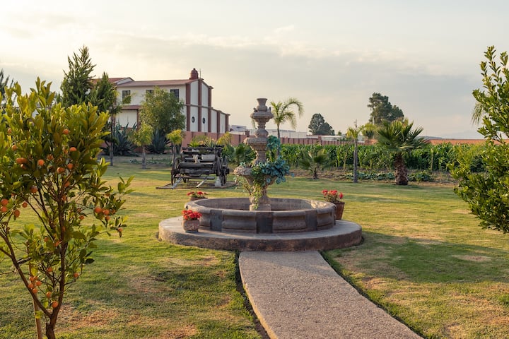 Finca Mercedes - Querétaro