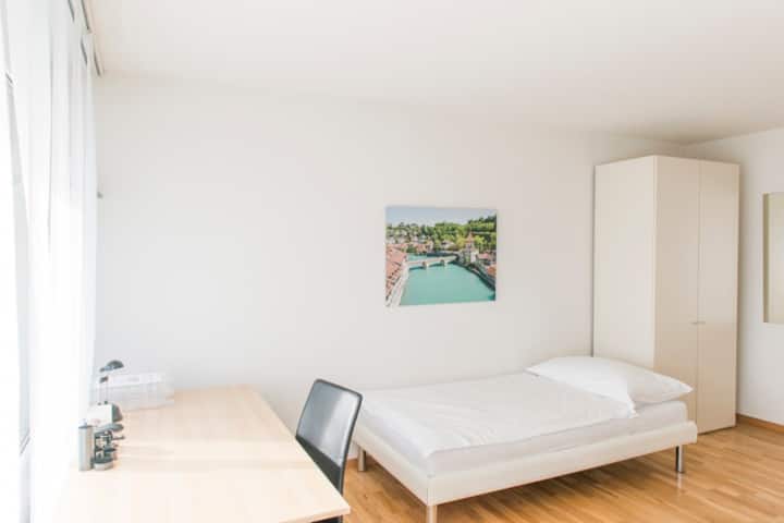 Lovely Studio In Länggasse/bern (05) - Bern