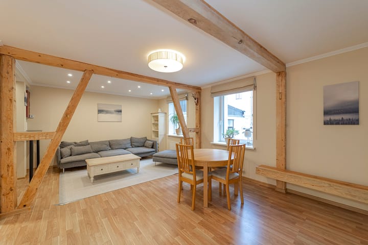 Spacious Oasis In Riga Center | Parking - Riga