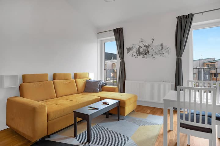 Studio Apartment Meadows 183/apt 9 - Fichtelberg