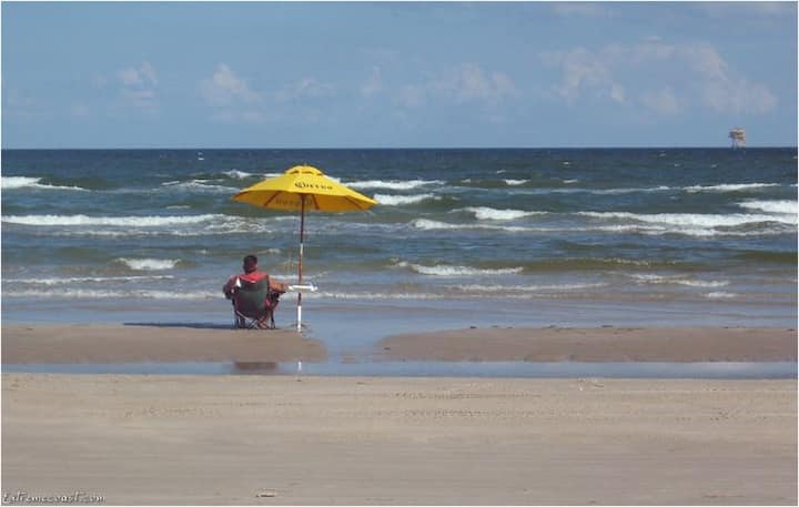 Real Nice Views | Pool | 5 Min Walk To Gulf Beach - Corpus Christi, TX