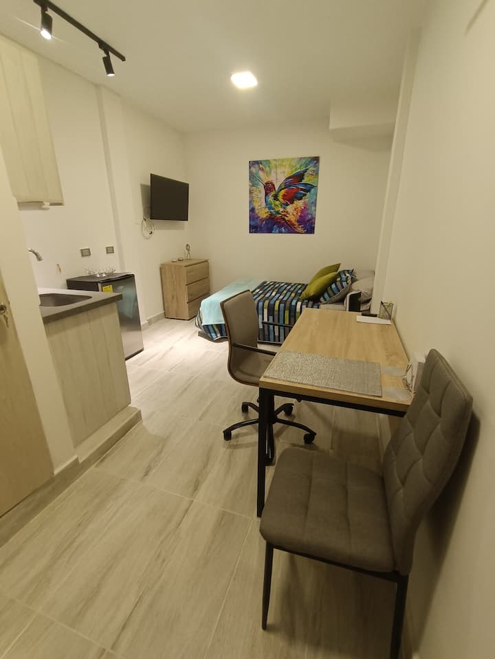 Seguro Y Lindo Apartaestudio Loft Laureles -500mb - Medellín