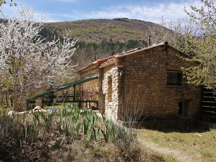 Gîte Avec Piscine - Montbrun-les-Bains