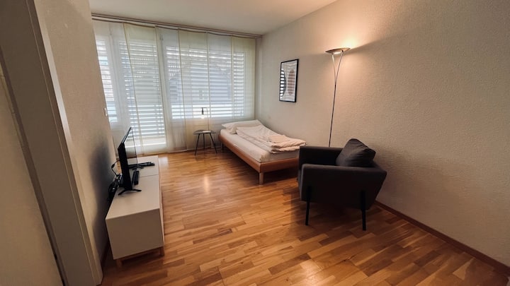 Lovely Studio In Länggasse/bern (08) - Bern