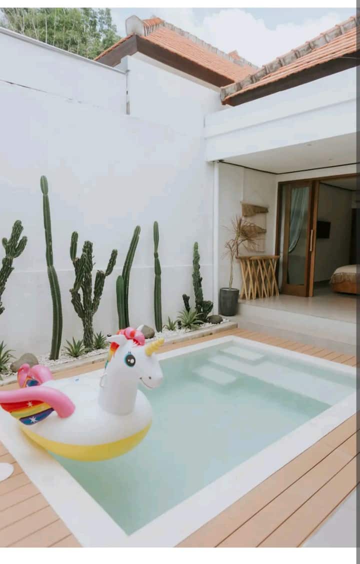 2 Br Cute Villa Pererenan - Australia