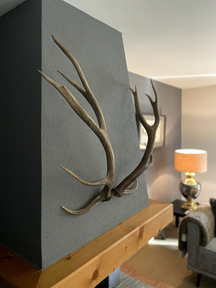 Grand Ballon In Chateau D'oex, Vlakbij Gstaad - Rougemont