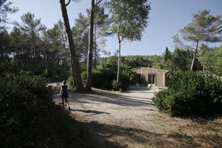 Lodge-parc Regional-alpilles-piscine-calme-confort - Fontvieille