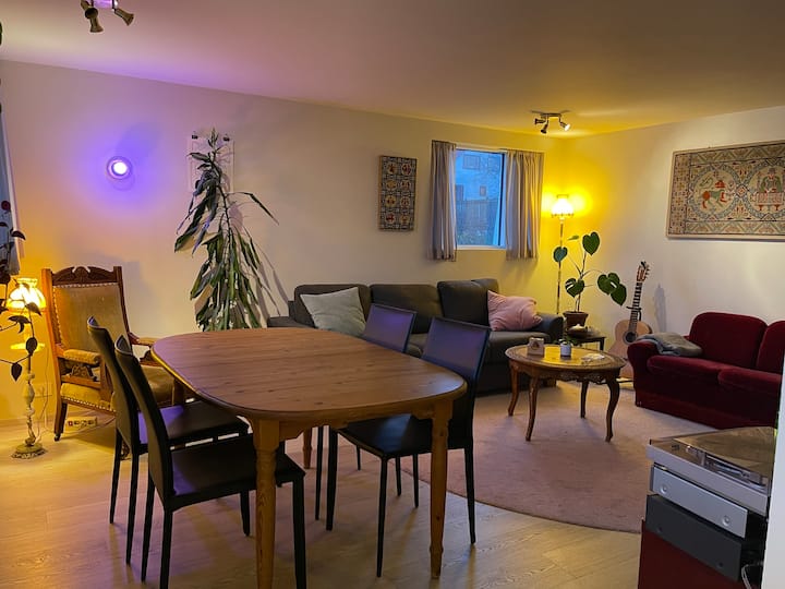 Cozy And Warm Artistic Apartment - Islândia