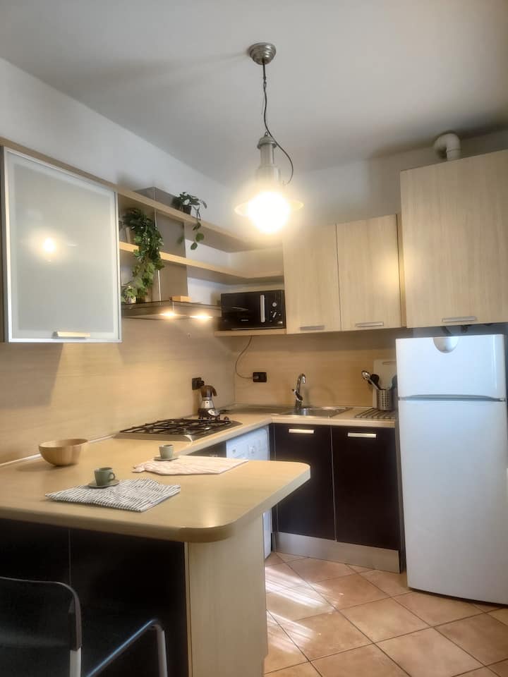 Angolino San Domenico - Forli