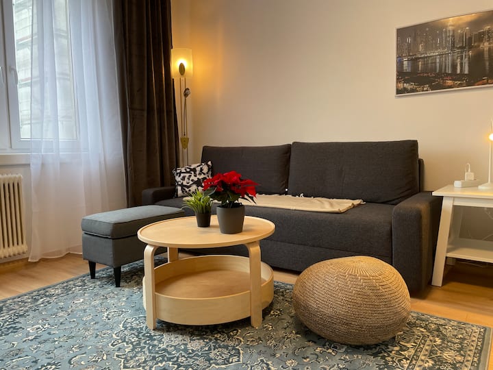 Charmante Wohnung Nähe Stadtzentrum - Viyana