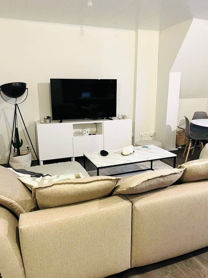 Beau 2 Pièces 50m2 - Strasbourg - Estrasburgo