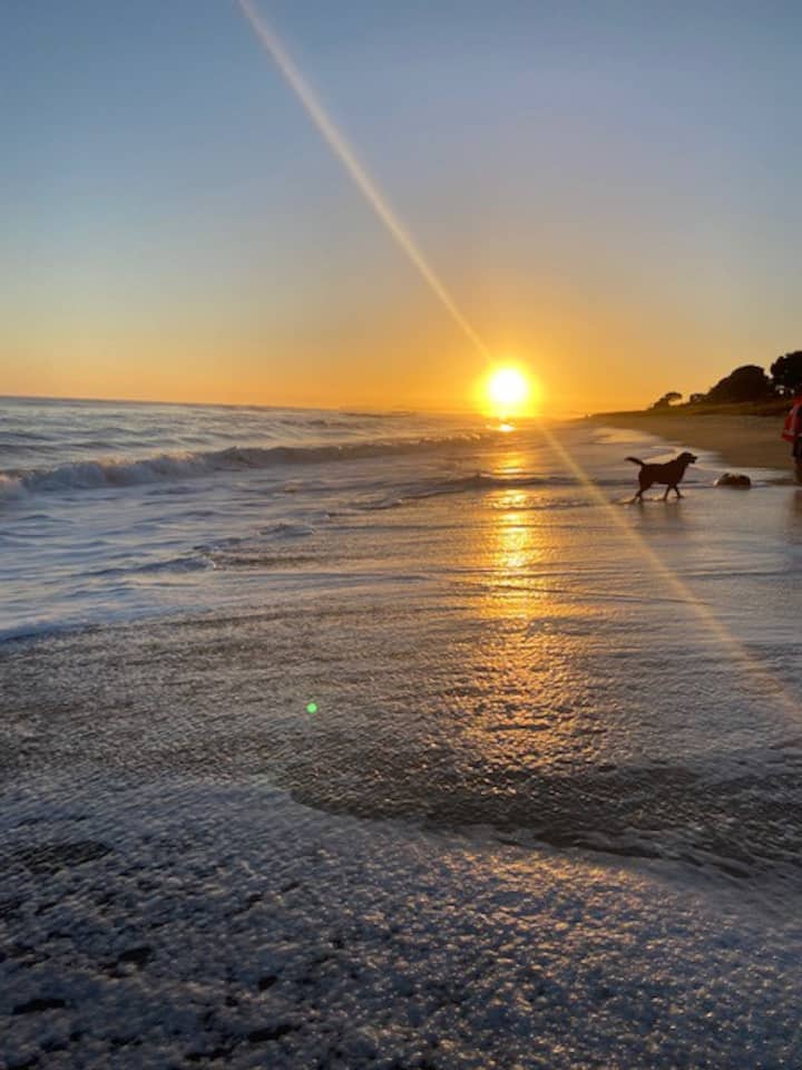 Beach Bach 
Sleeps 16
Perfect For Groups - Mount Maunganui