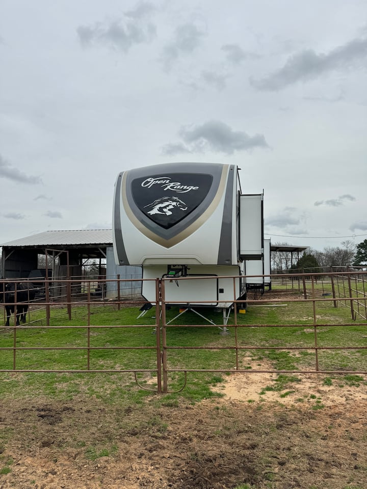 Hot Mess Ranch - Canton, TX