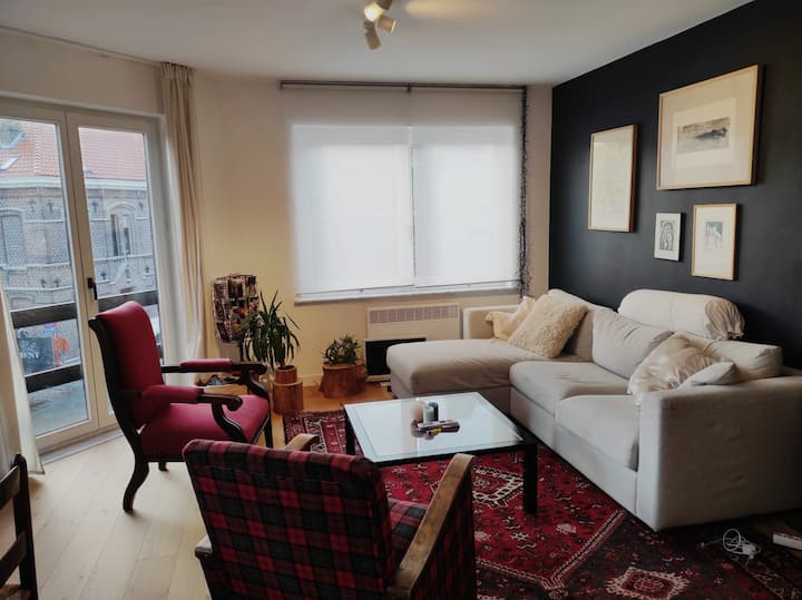 Gezellig Appartement In Gent - Ghent (Belgium)