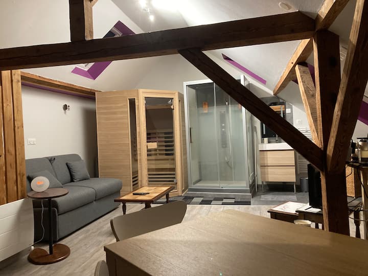 Studio Indépendant Avec Sauna Et Micro Onde - Marlenheim