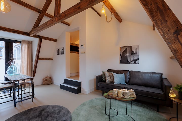 Beautiful 4-persons Apartment With Two Terraces - Bussum
