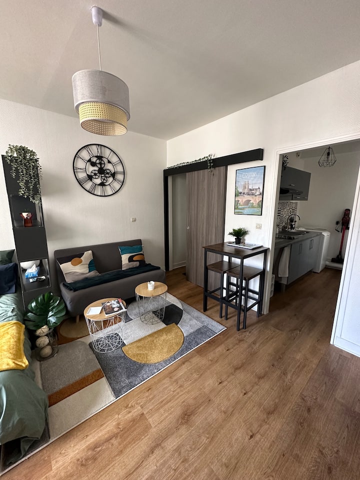 Joli Studio Proche Bord De Loire - 奧爾良
