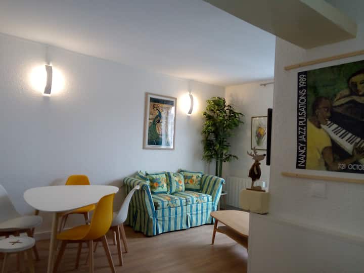 Meublé Touristique 3 éToiles -  Le Nancy Téméraire - Nancy