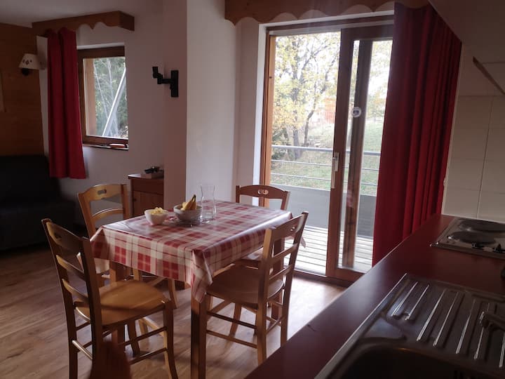 Cosy T2 Pour 4 Proche Ski Alpin + Domaine Nordique - Chamrousse