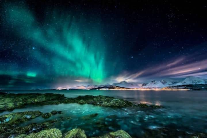 Leilighet I Sentrum. - Tromsø