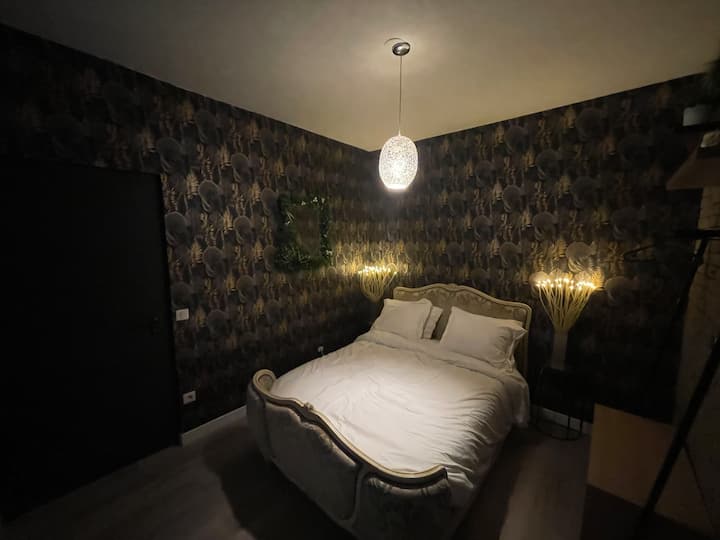 Charmant F2 - Villepinte