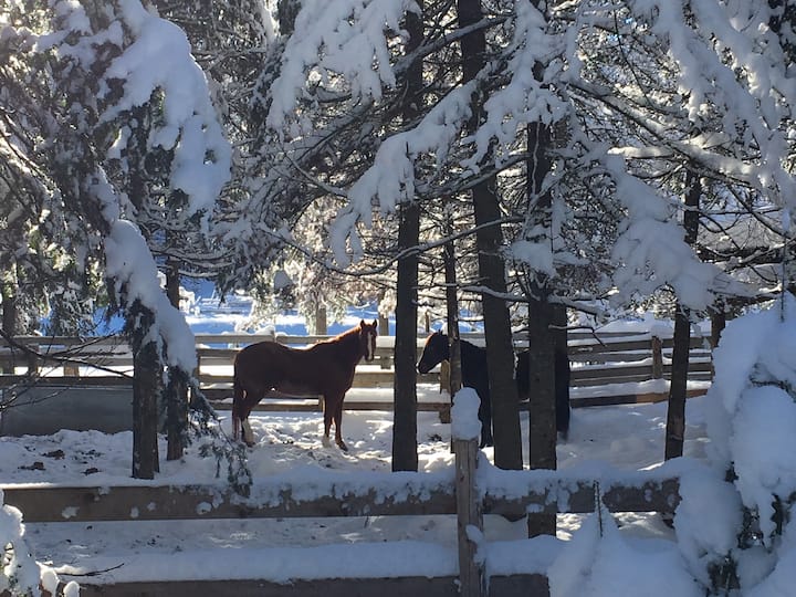 Maison En Pleine Nature & Spa Privé - Sainte-Agathe-des-Monts