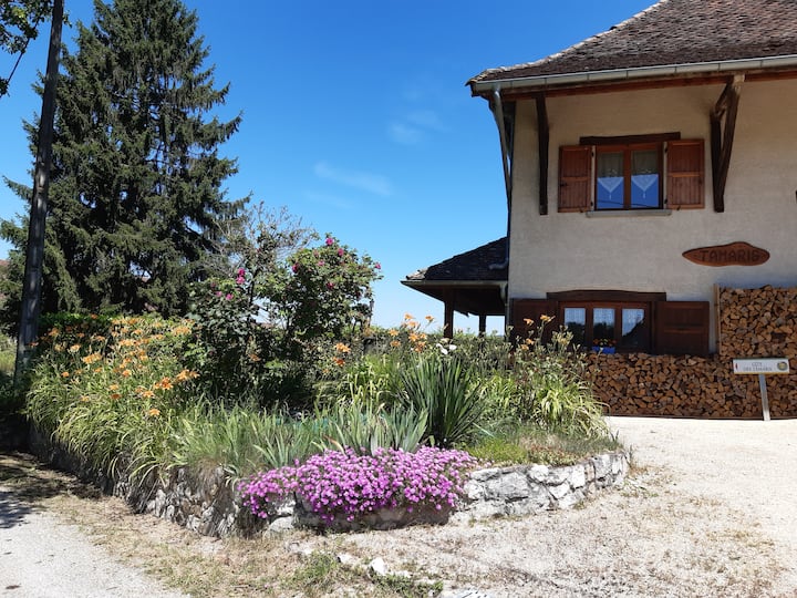 Gîte 3 éToiles à La Campagne - Les Abrets
