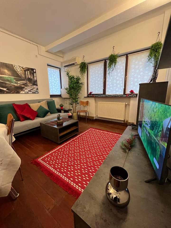 Appartement Charmant Dans Le Centre De Bucarest - Bucharest