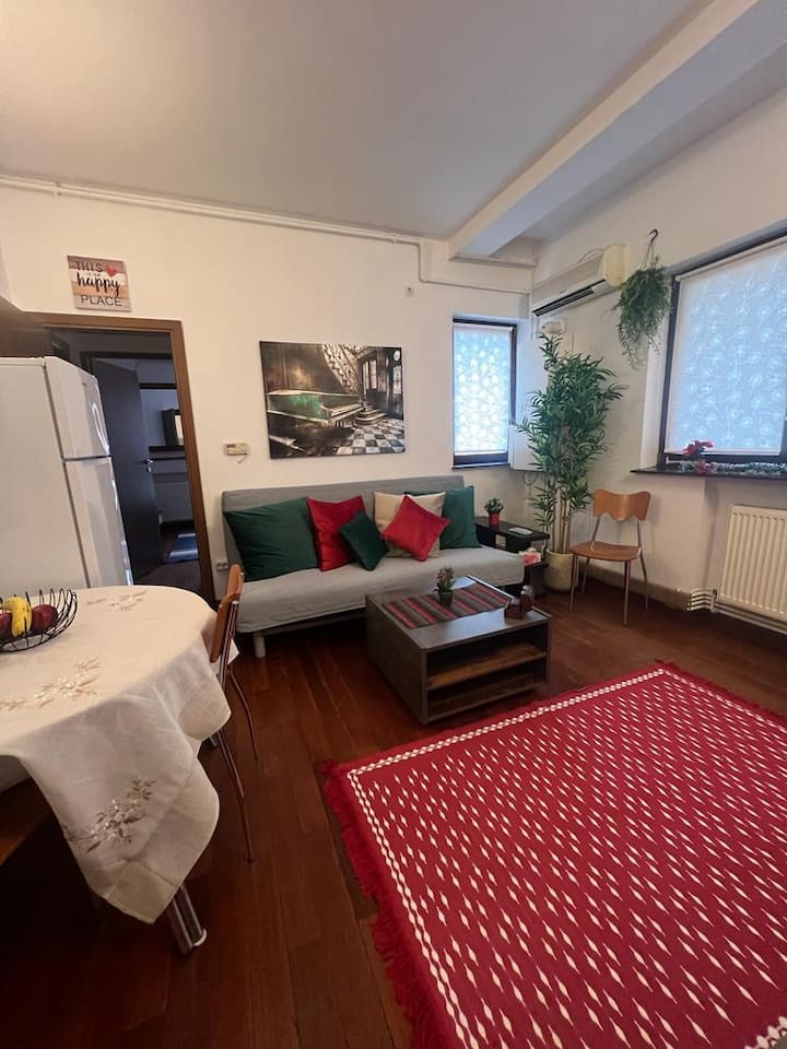 Appartement Charmant Dans Le Centre De Bucarest - Bucarest