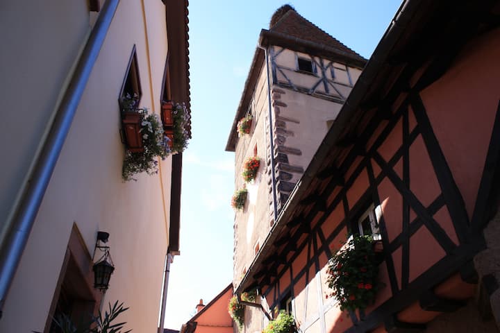 Gite Du Jardin Des Vignes - Ammerschwihr