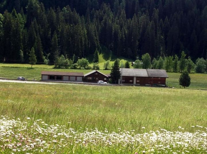 Chalet Landwasser - Davos
