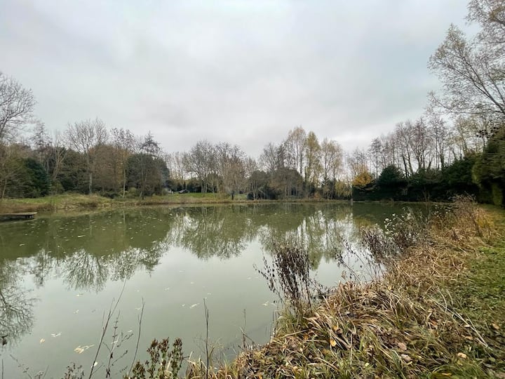 Bois Privée Pour Camping Et Moment Avec La Nature - Chamouille