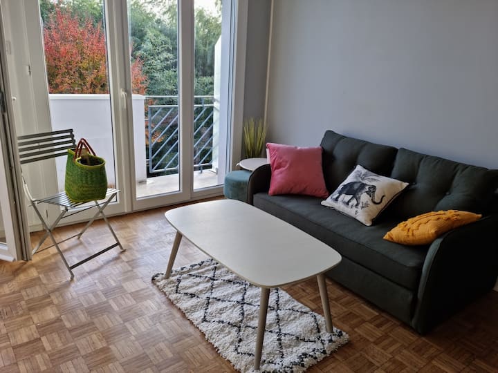 Joli Studio Balcon Sud. Wi-fi. Parking Ext Gratuit - Pau
