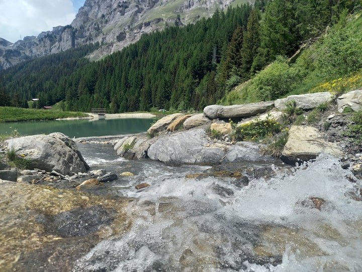 Biken, Hiken, Wellness, Wifi, Terrasse, Parkplatz -