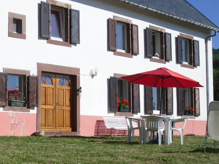 Vue Imprenable, En Pleine Nature, Dans Les Vosges - Orbey